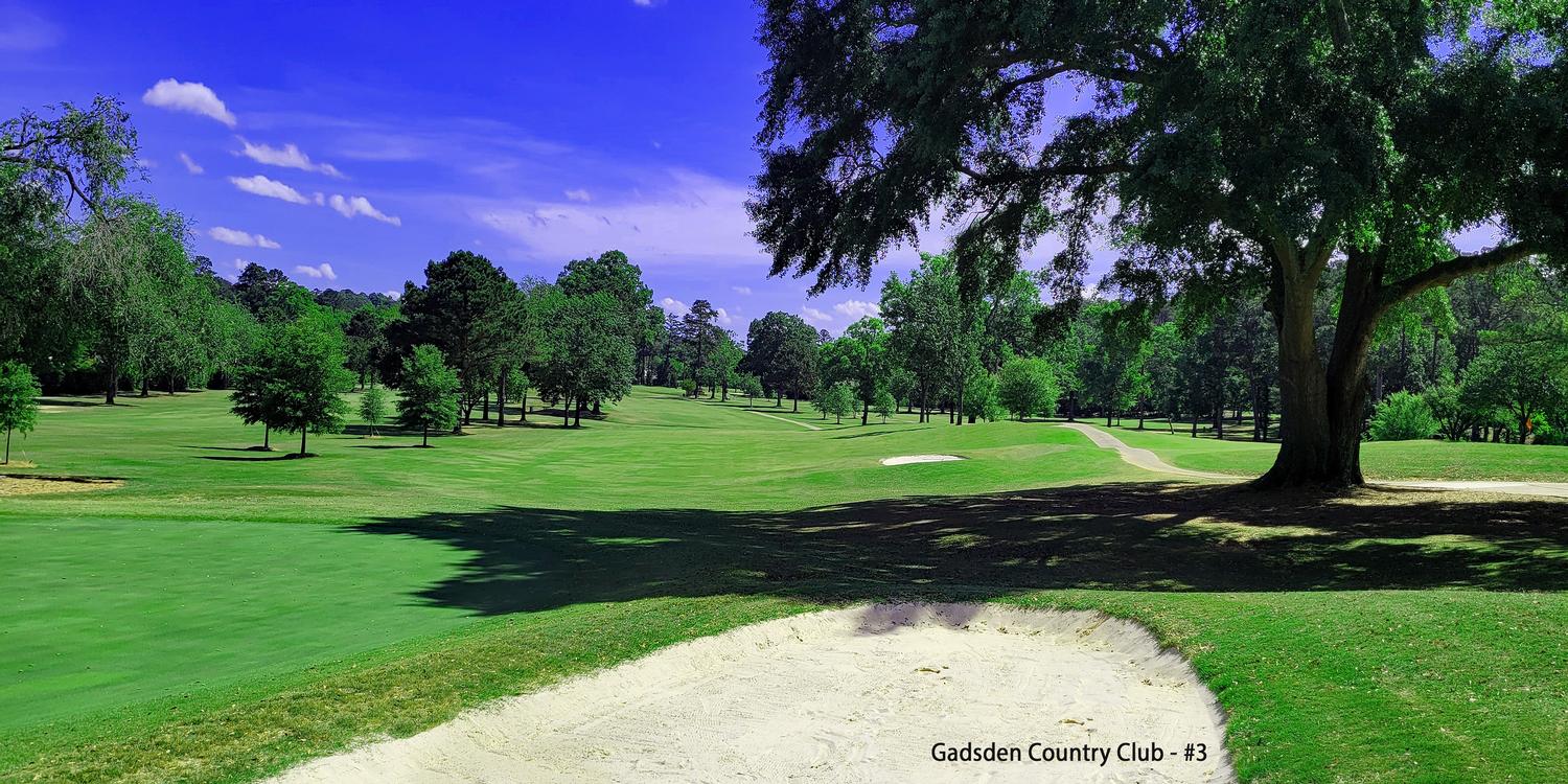 Gadsden Country Club By David Theoret