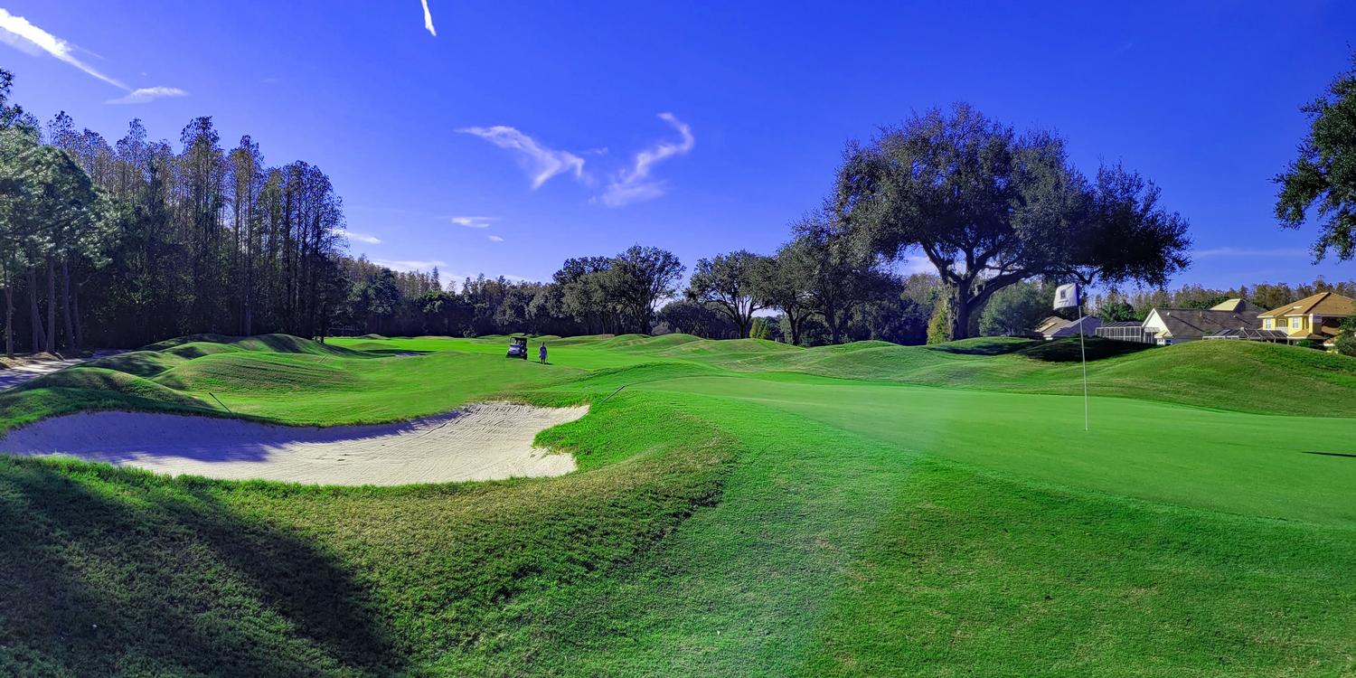 TPC Tampa Bay By David Theoret