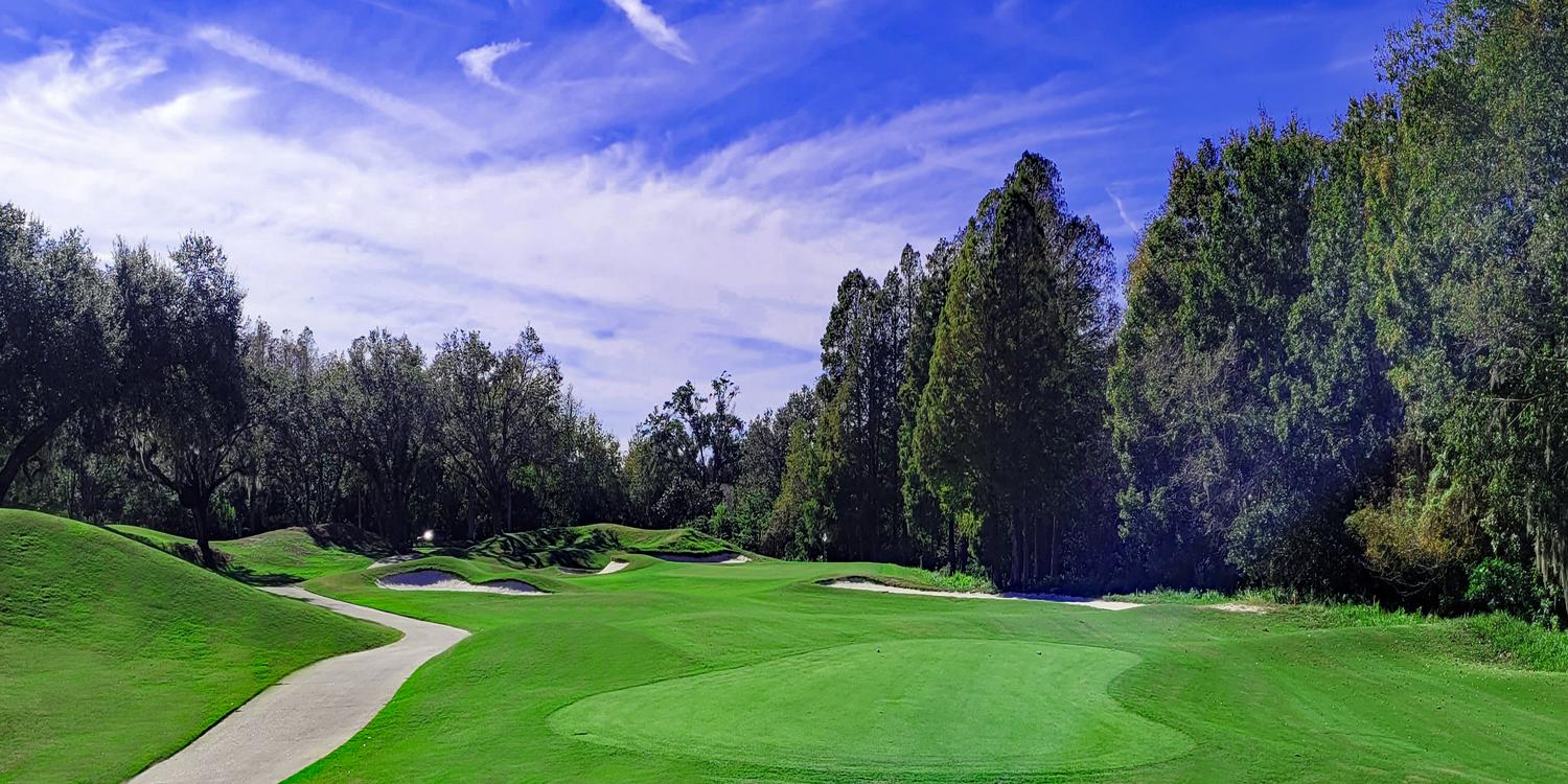 TPC Tampa Bay By David Theoret