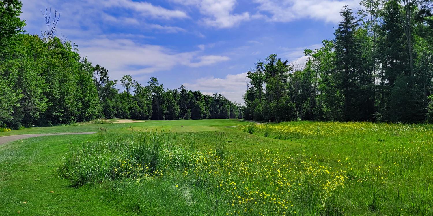 Wild Bluff Golf Course By David Theoret